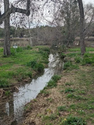 Best Hikes and Trails in Lindo Lake County Park | AllTrails