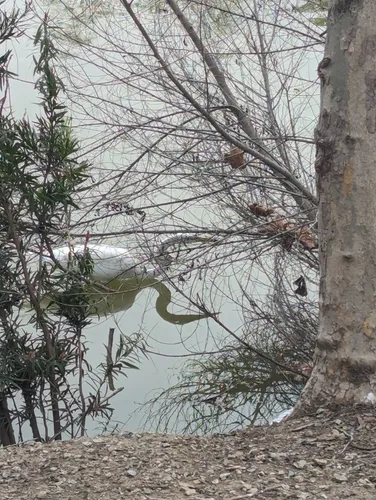 Best Hikes and Trails in Lindo Lake County Park | AllTrails