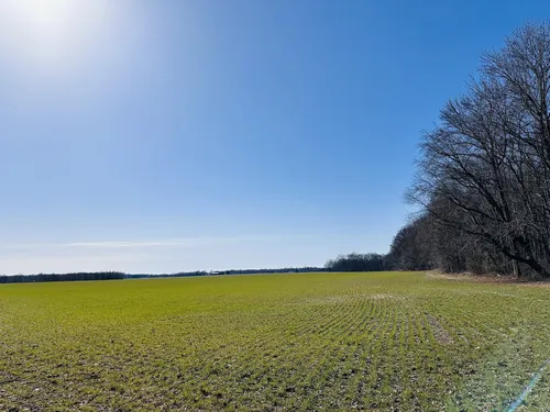 Best Hikes and Trails in Blackbird State Forest | AllTrails