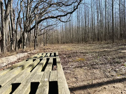 Best Hikes and Trails in Blackbird State Forest | AllTrails