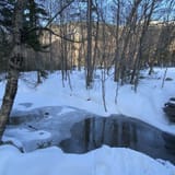 Lonesome Lake Trail, New Hampshire - 3,618 Reviews, Map | AllTrails