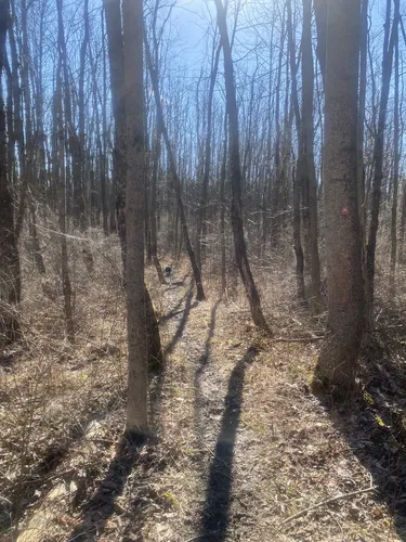 Best Hikes and Trails in Zoar Valley Multiple Use Area | AllTrails