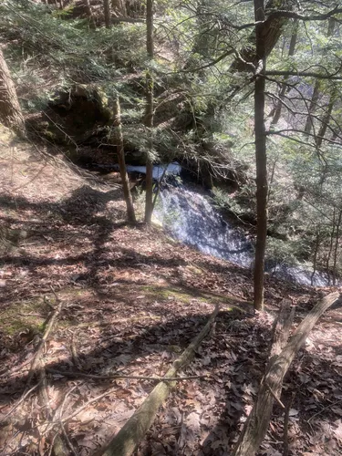 Best Hikes and Trails in Zoar Valley Multiple Use Area | AllTrails