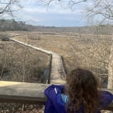 Point of Rocks Trail, Virginia - 442 Reviews, Map | AllTrails
