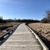 Cuba Marsh Forest Preserve, Illinois - 720 Reviews, Map | AllTrails