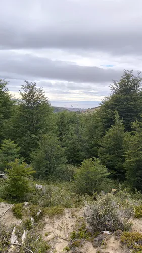 Best Hikes and Trails in Magallanes National Reserve | AllTrails