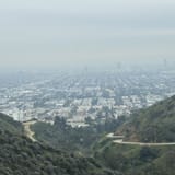 Runyon Canyon Trail, California - 7,904 Reviews, Map | AllTrails