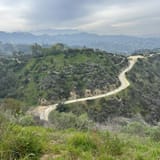 Runyon Canyon Trail, California - 7,904 Reviews, Map | AllTrails