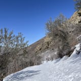 Neff's Canyon Loop, Utah - 2,431 Reviews, Map | AllTrails