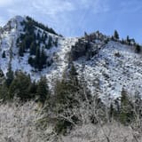 Neff's Canyon Loop, Utah - 2,431 Reviews, Map | AllTrails