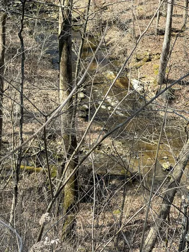Best Hikes and Trails in Nine Penny Branch Nature Preserve | AllTrails