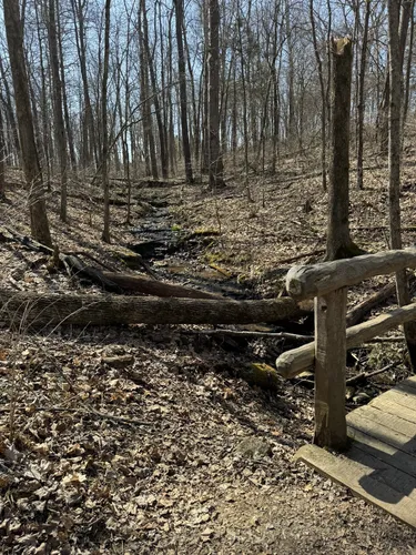 Best Hikes and Trails in Nine Penny Branch Nature Preserve | AllTrails