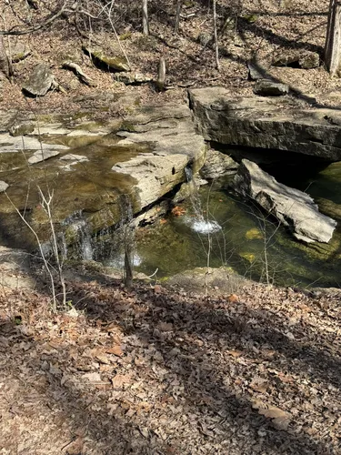 Best Hikes and Trails in Nine Penny Branch Nature Preserve | AllTrails