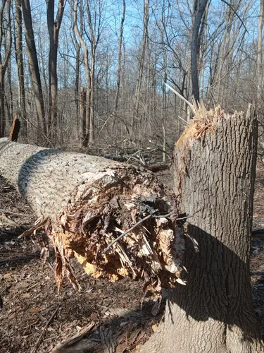 Best Hikes and Trails in Okehocking Preserve | AllTrails