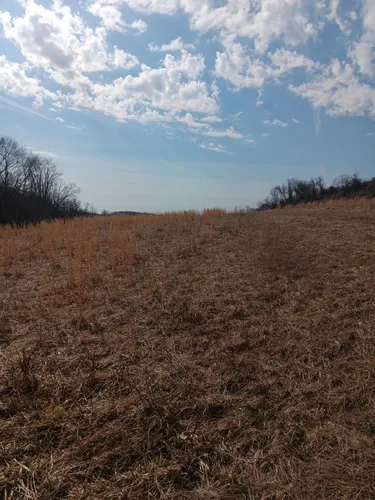 Best Hikes and Trails in Okehocking Preserve | AllTrails