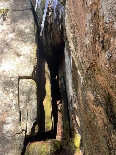 Best Hikes and Trails in Arcadia Forest | AllTrails