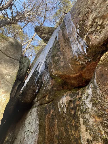 Best Hikes and Trails in Arcadia Forest | AllTrails