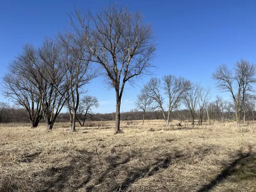 Best Hikes and Trails in Matsell Bridge Natural Area | AllTrails