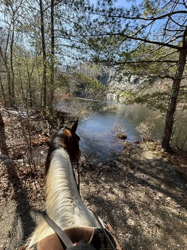 Best Walking Trails in Assonet | AllTrails