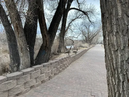 Best Hikes and Trails in Berg Park Loop | AllTrails