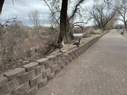 Best Hikes and Trails in Berg Park Loop | AllTrails
