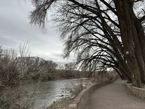 Best Hikes and Trails in Berg Park Loop | AllTrails
