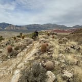Fossil Ridge Loop, Nevada - 831 Reviews, Map | AllTrails