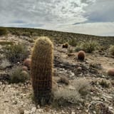 Fossil Ridge Loop, Nevada - 840 Reviews, Map | AllTrails