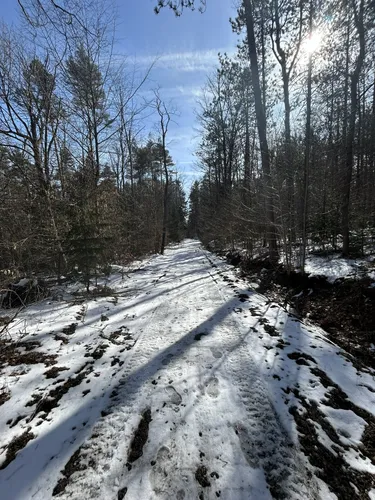 Best Hikes and Trails in Highland Forest Park | AllTrails