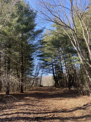 Best Hikes and Trails in New Munster Wildlife Area | AllTrails