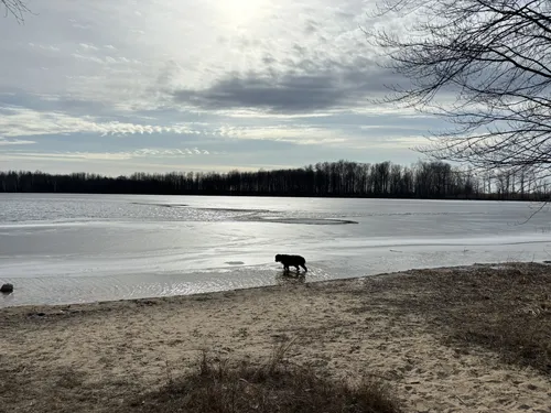 Best Hikes and Trails in Maplehurst Natural Area | AllTrails