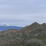 Two Trees Trail, California - 1,349 Reviews, Map | AllTrails