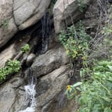 Two Trees Trail, California - 1,349 Reviews, Map | AllTrails