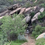Two Trees Trail, California - 1,349 Reviews, Map | AllTrails