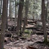 Ferncliff Trail, Pennsylvania - 1,369 Reviews, Map | AllTrails