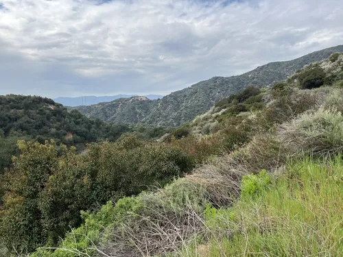 10 Best Trails and Hikes in Altadena | AllTrails