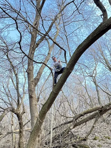 Best Kid Friendly Trails in High Cliff State Park | AllTrails