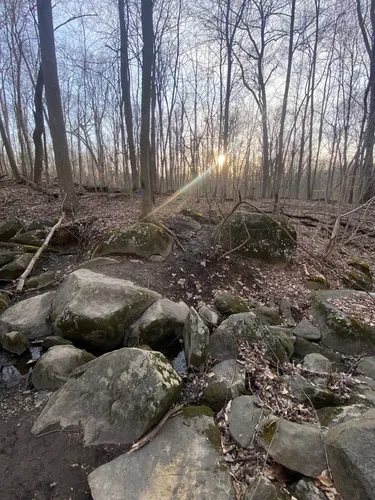 Best Hikes and Trails in Bellaire Woods Nature Preserve | AllTrails