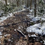 Quebec Run Outer Loop, Pennsylvania - 348 Reviews, Map | AllTrails