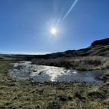 Towell Falls from Escure Ranch, Washington - 207 Reviews, Map | AllTrails