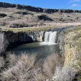 Towell Falls from Escure Ranch, Washington - 207 Reviews, Map | AllTrails