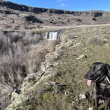 Towell Falls from Escure Ranch, Washington - 207 Reviews, Map | AllTrails