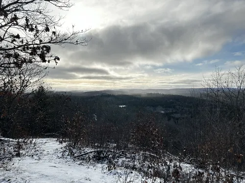 Best Wild Flowers Trails in Parry Sound | AllTrails