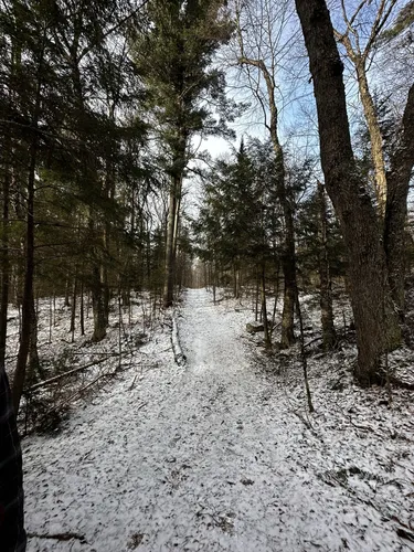 Best Wild Flowers Trails in Parry Sound | AllTrails