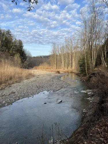 Best Hikes and Trails in Sonyea State Forest | AllTrails