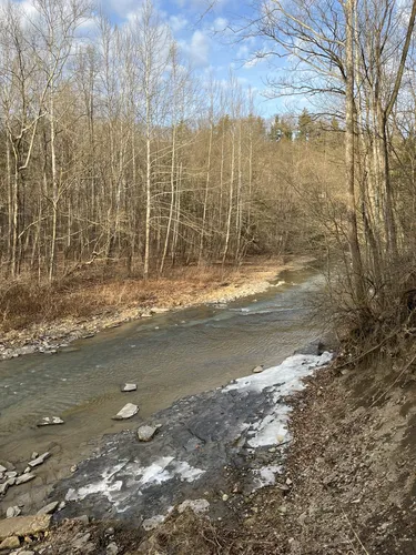 Best Hikes and Trails in Sonyea State Forest | AllTrails