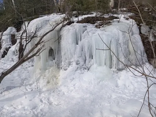 Best Bird Watching Trails in Val-David | AllTrails