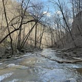 Walls of Jericho Trail, Alabama - 2,289 Reviews, Map | AllTrails