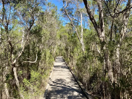 Best Hikes and Trails in Balcombe Creek Bushland Reserve | AllTrails