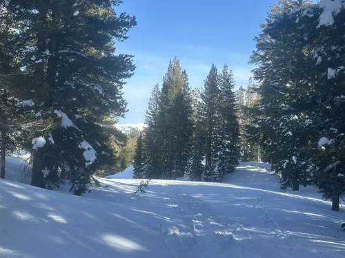 Best Hikes and Trails in Red Lake Wildlife Area | AllTrails